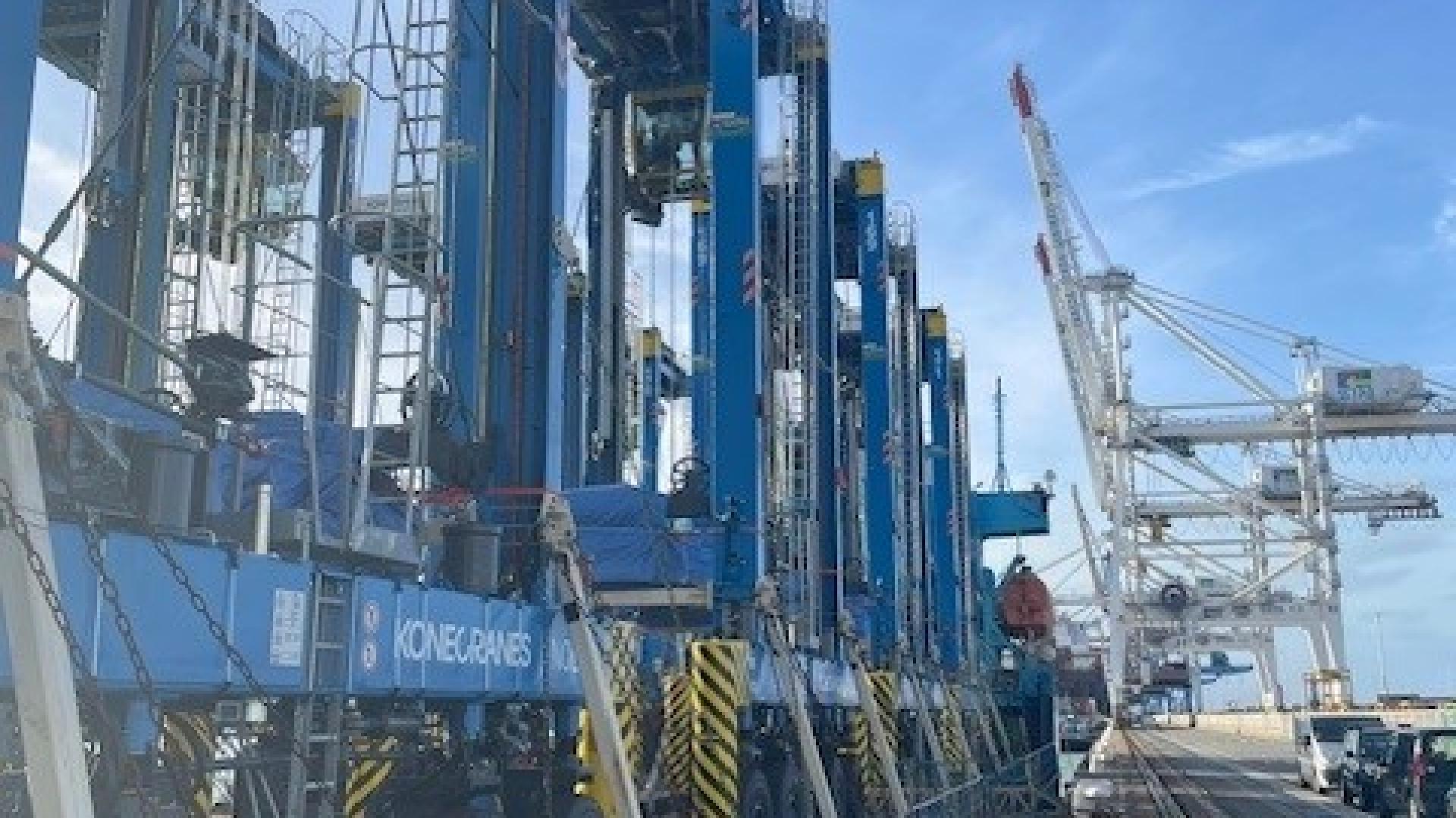 TPO et TNMSC passent à l’hybride | HAROPA PORT